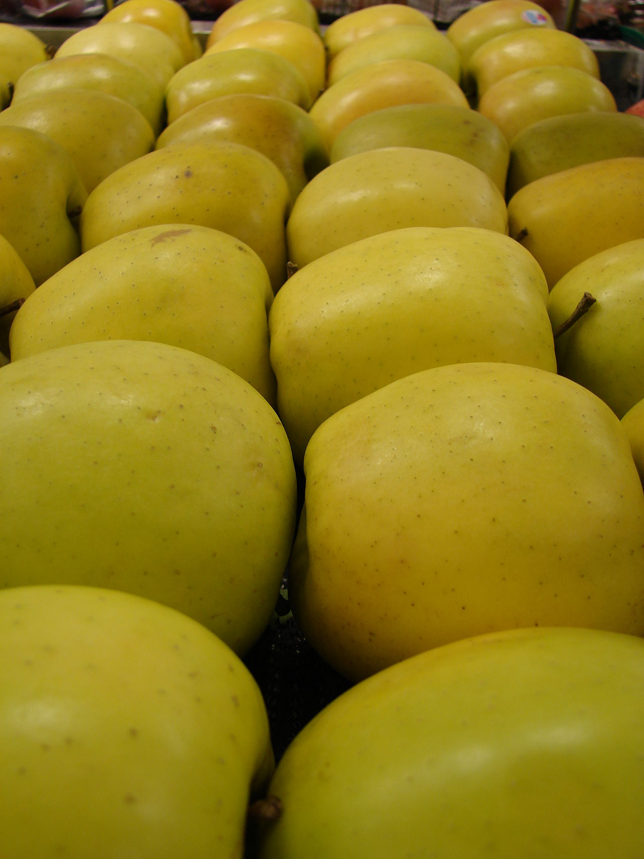 WV: Golden Delicious – Thoughts and Ponderances
