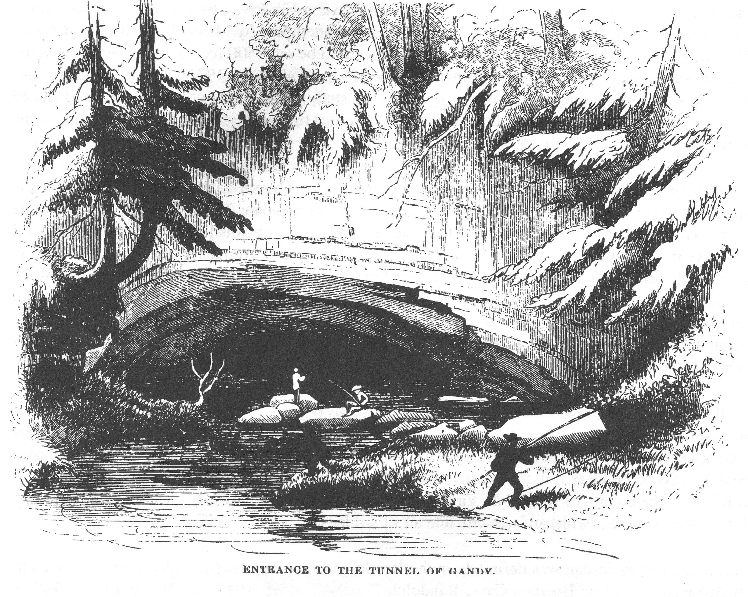 (WV): The Sinks of Gandy – Thoughts and Ponderances